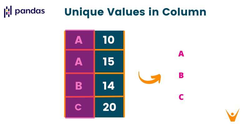 Get Unique Values In Pandas DataFrame Column FavTutor